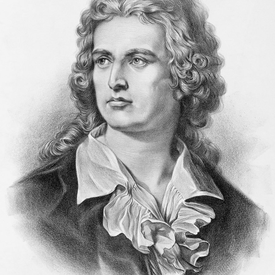 Fields of expertise | Mr Expert