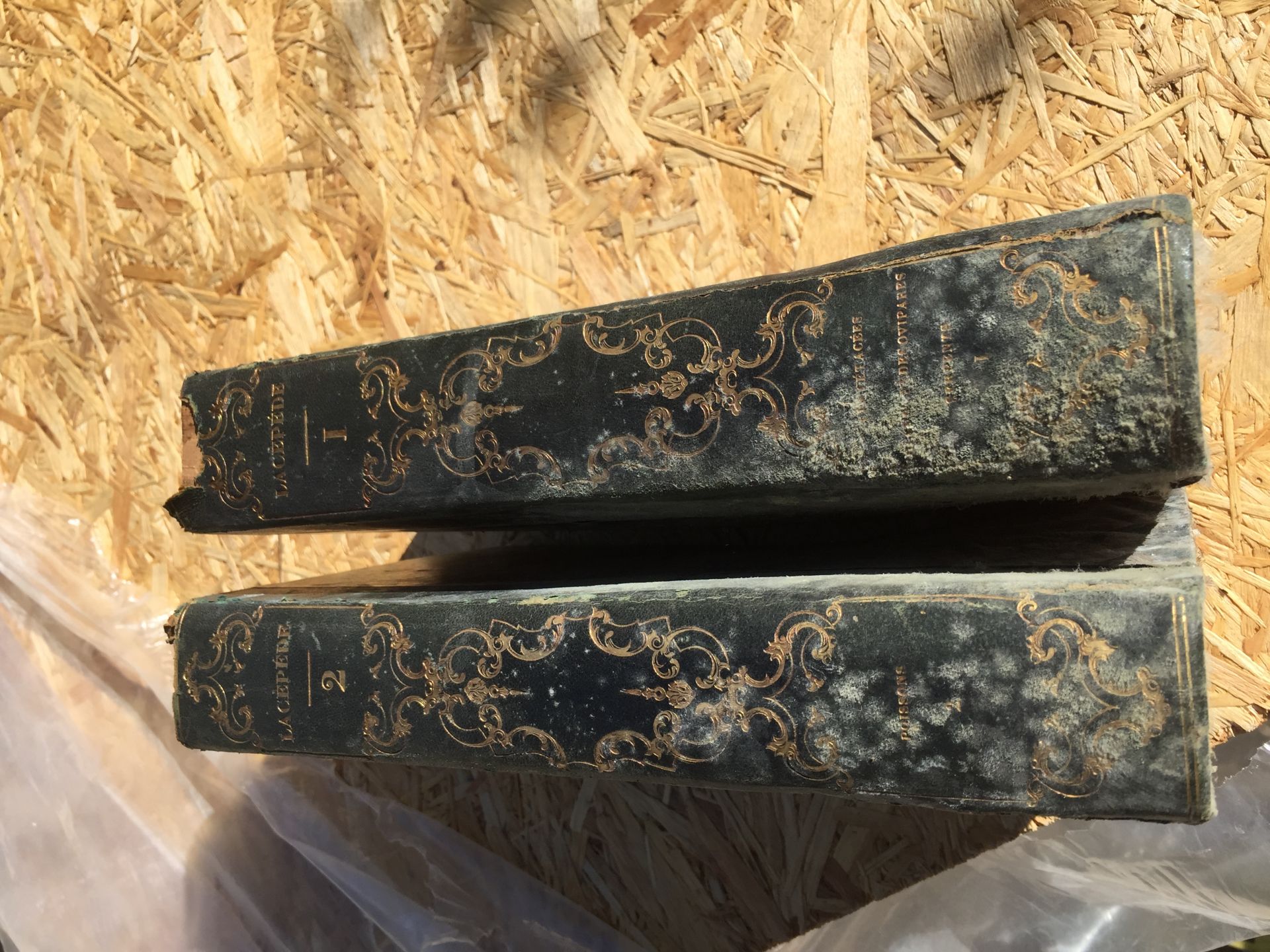 Livre en 2 volumes | Demandez une estimation